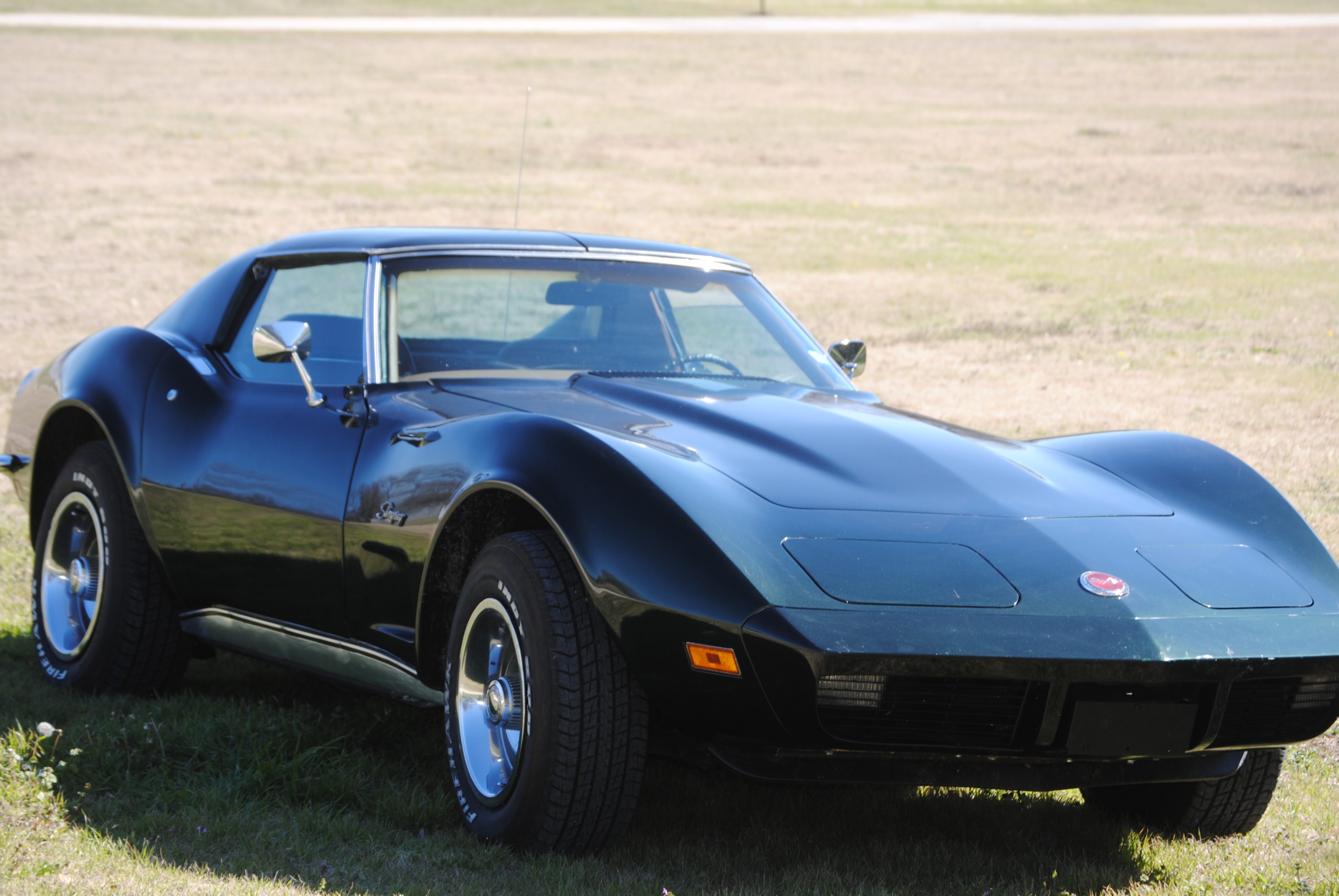1973 Corvette | | CorvSport.com