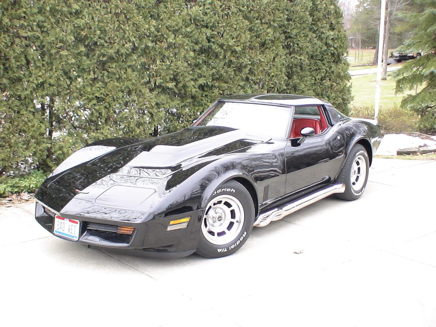 1981 Corvette | | CorvSport.com