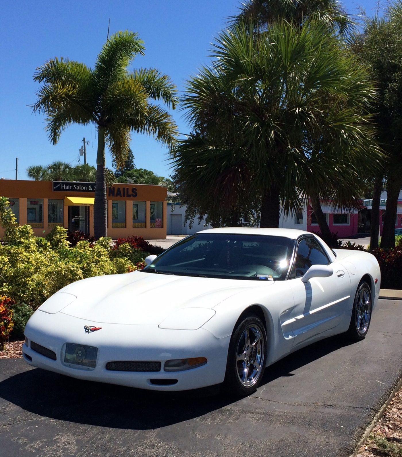 Arctic White 1999 Chevrolet Corvette