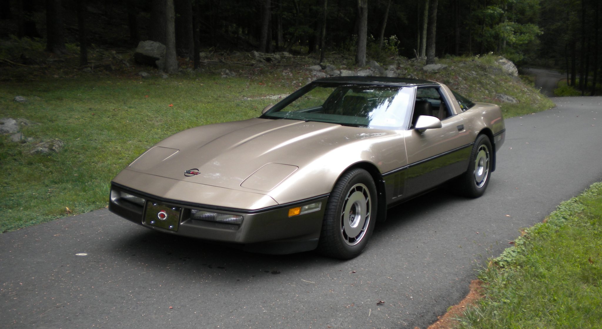 Light Bronze 1984 Chevrolet Corvette