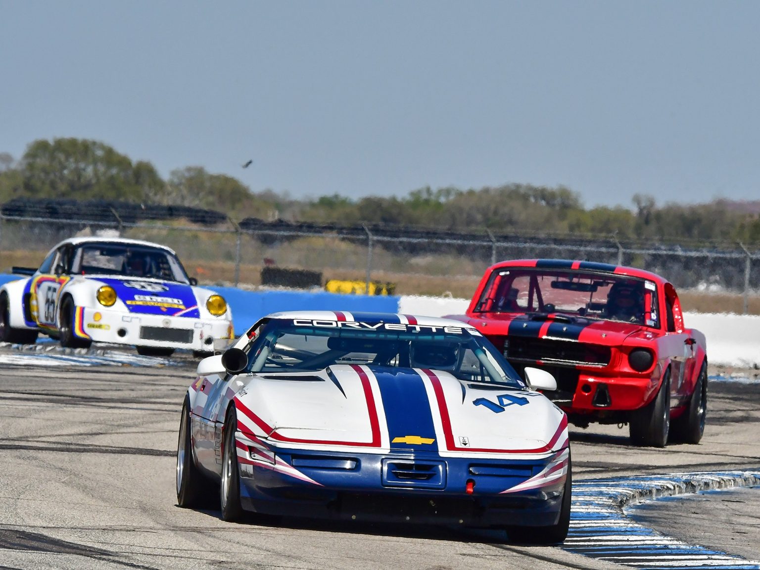 Corvettes at the 2024 SVRA SpeedTour Sebring