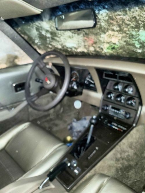 Watch These C3 Corvettes Get Washed For The First Time In 40+ Years