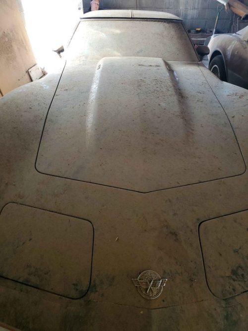 Watch These C3 Corvettes Get Washed For The First Time In 40+ Years