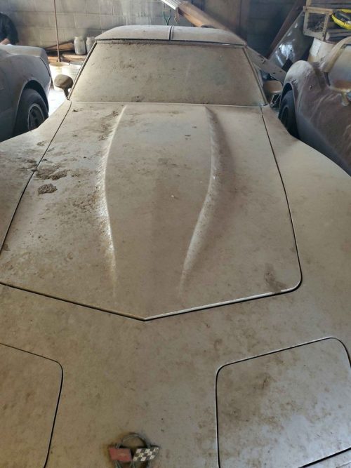 Watch These C3 Corvettes Get Washed For The First Time In 40+ Years