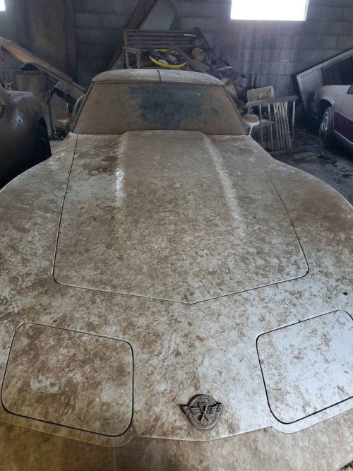 Watch These C3 Corvettes Get Washed For The First Time In 40+ Years